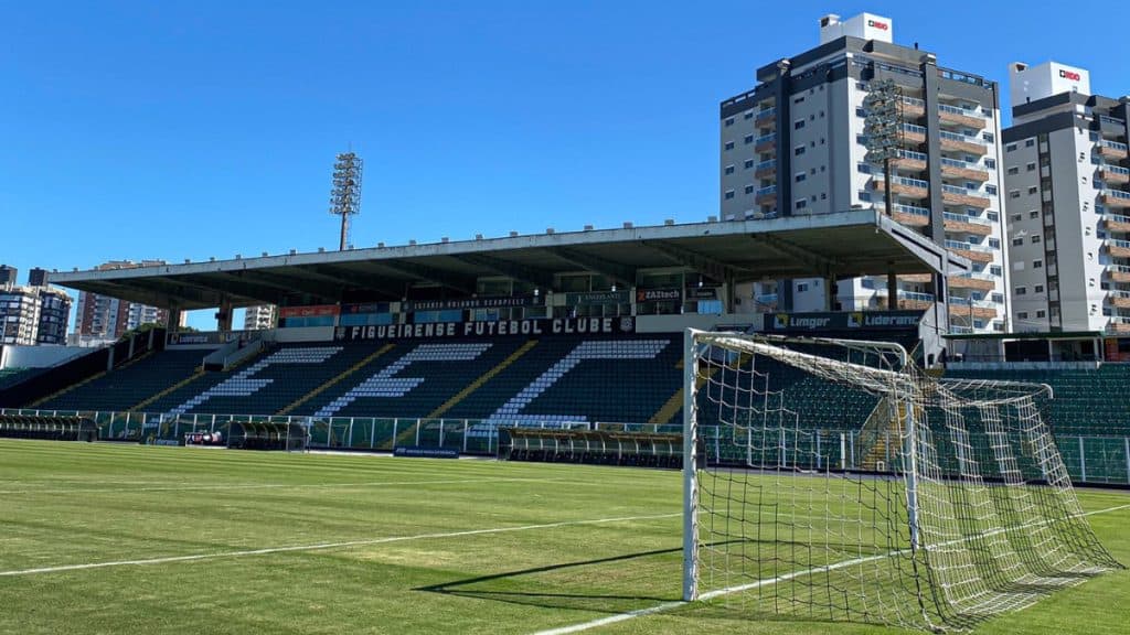 Fundo liderado pela Kactus Capital apresenta proposta para transformar ...